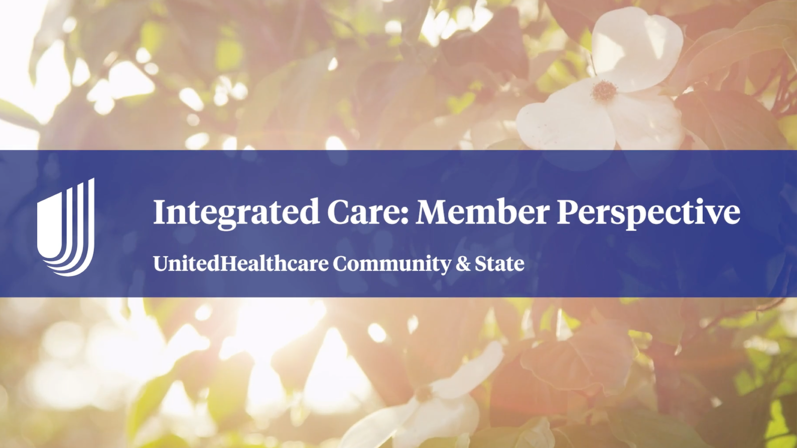 United Health Care Integrated Services
