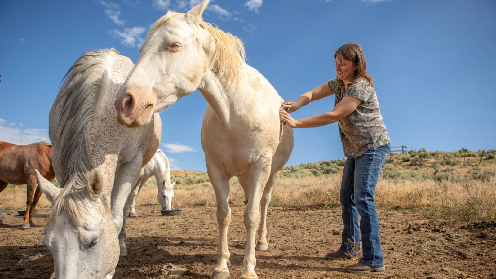 Empowering people with disabilities in rural Colorado ...